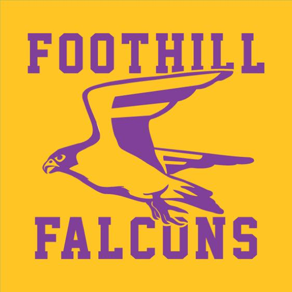 The Falcon FUND Foothill Elementary School And Goleta Family School The Falcon FUND Foothill Elementary School And Goleta Family School